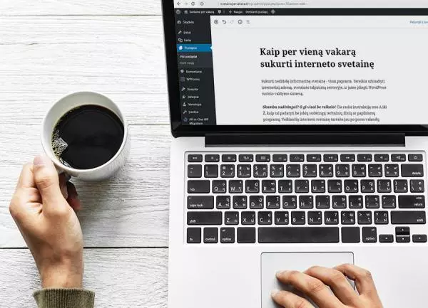 windows-11-kompiuterio-parametrai - Visai Paprasta